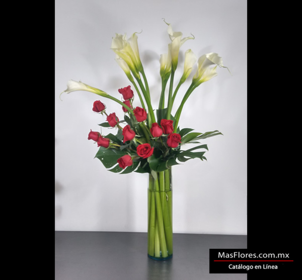 Alcatraces y Rosas Rojas - Florería en Monterrey - MasFlores.com.mx ...